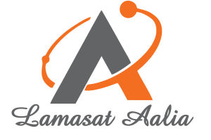 شركة وادي لتقنية المعلومات